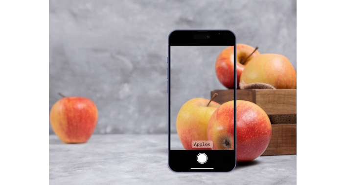 Image Recognition Applications - IT rating USA